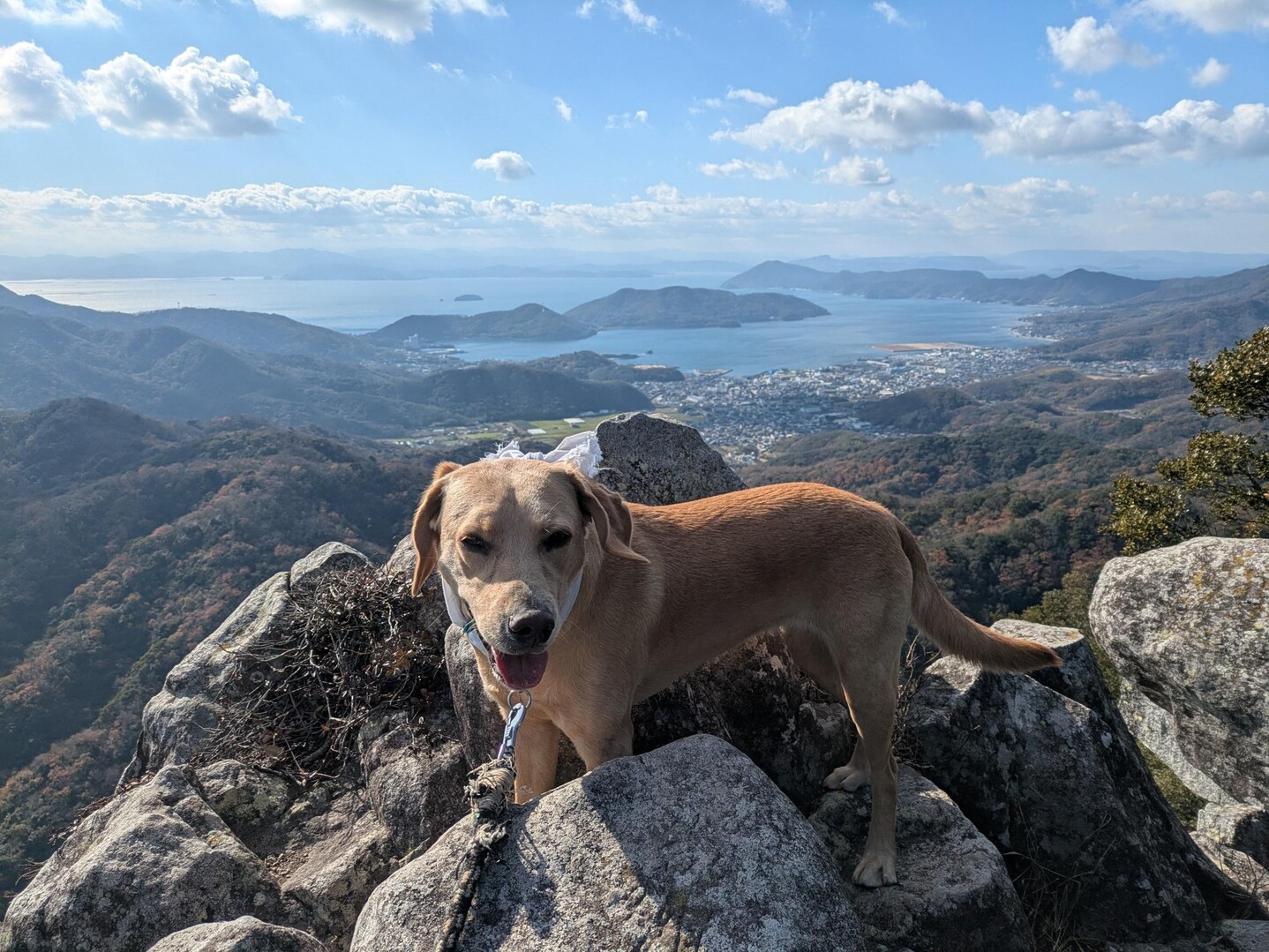 小豆島 千羽ヶ獄 / meさんの小豆島・星ヶ城山・皇踏山の活動データ | YAMAP / ヤマップ