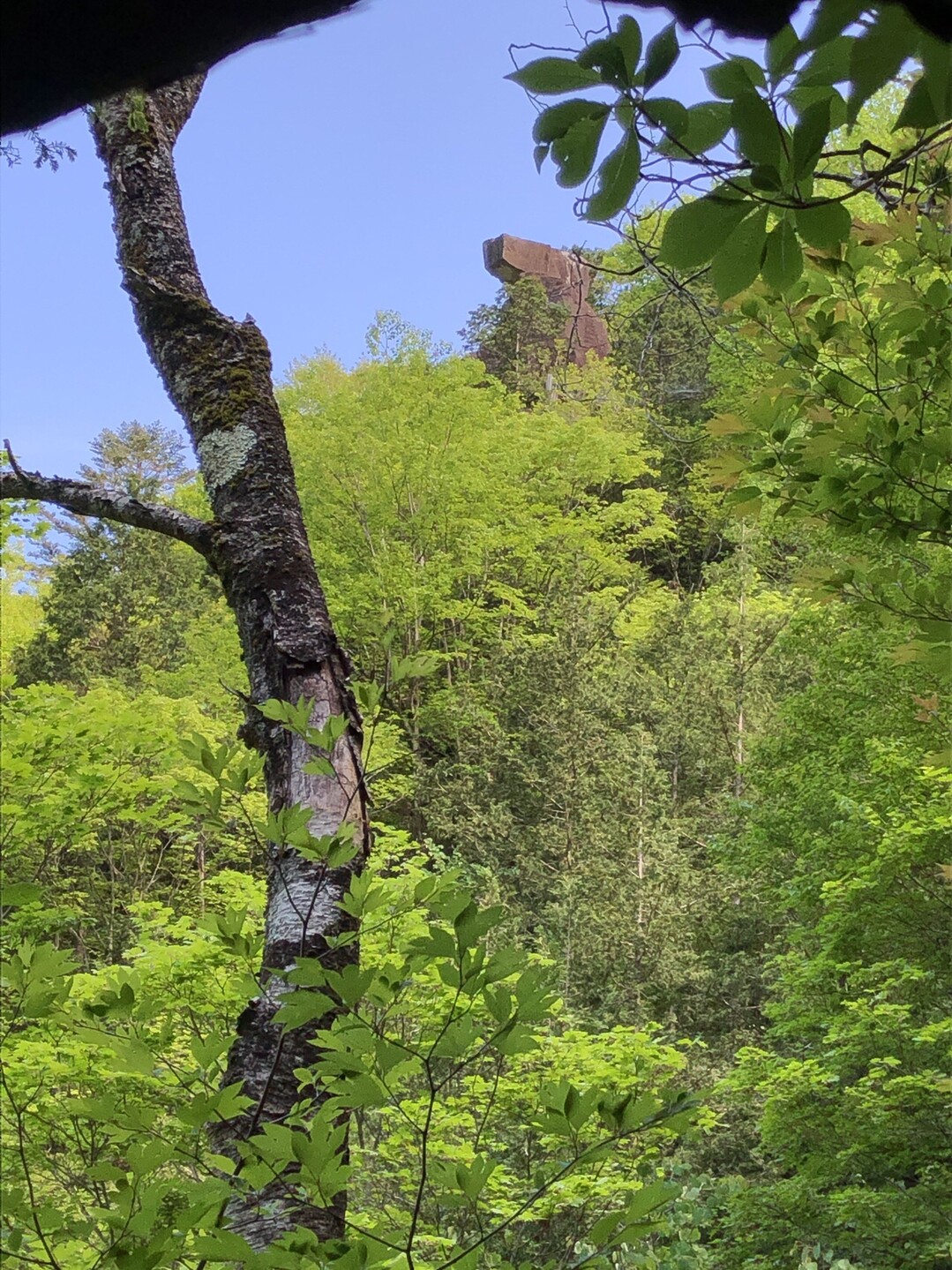 小秀山 / aspiさんの小秀山の活動データ | YAMAP / ヤマップ