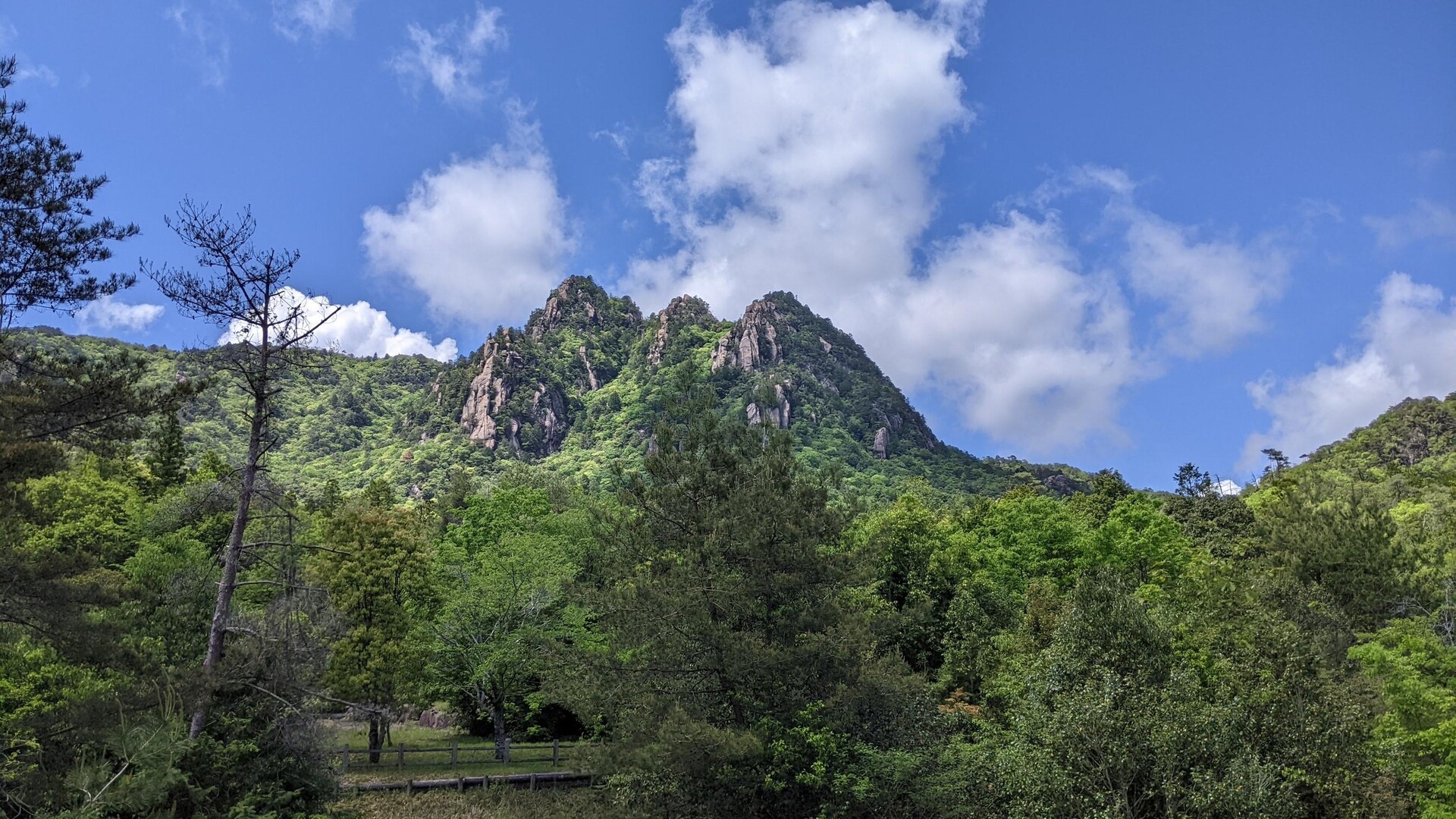 朝日岳・中岳 / Hideさんの三倉岳・瓦小屋山の活動データ | YAMAP / ヤマップ