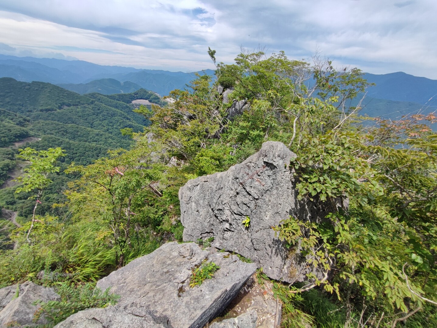 Goさんの投稿したフィールドメモ | YAMAP / ヤマップ