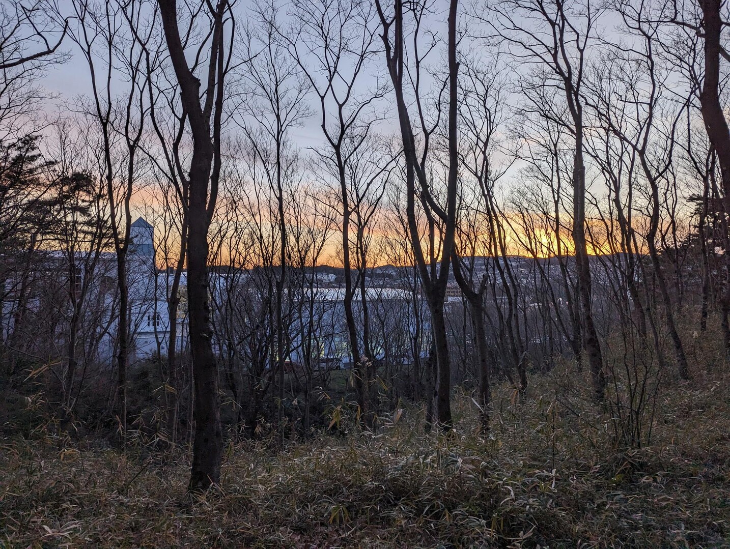 ウォーキング-2024-01-14 / maiさんのウォーキングの活動データ | YAMAP / ヤマップ