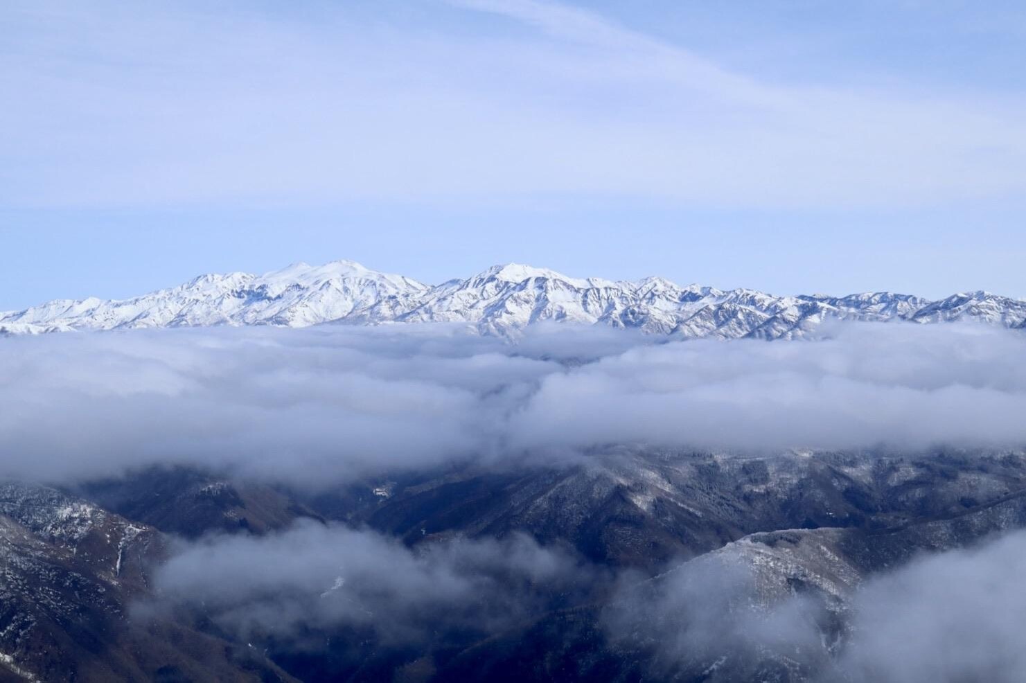 アラシマ！take2 / ユッコさんの荒島岳の活動データ | YAMAP / ヤマップ