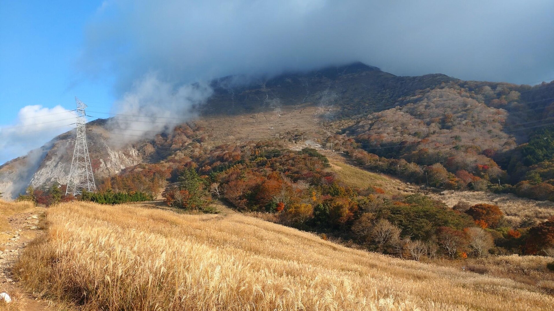 2022 伊吹山12 / よねさんの伊吹山・伊吹高原・御座峰の活動データ | YAMAP / ヤマップ
