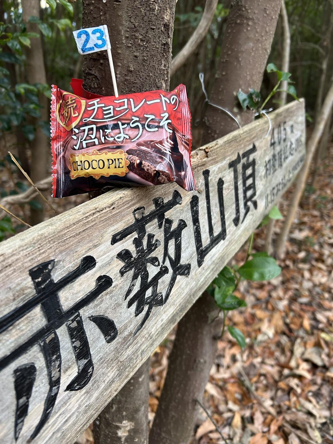 赤薮山 ⛰️明星山系最後の宿題📚 / pu_ka夫さんの明星山・白金山の活動データ | YAMAP / ヤマップ