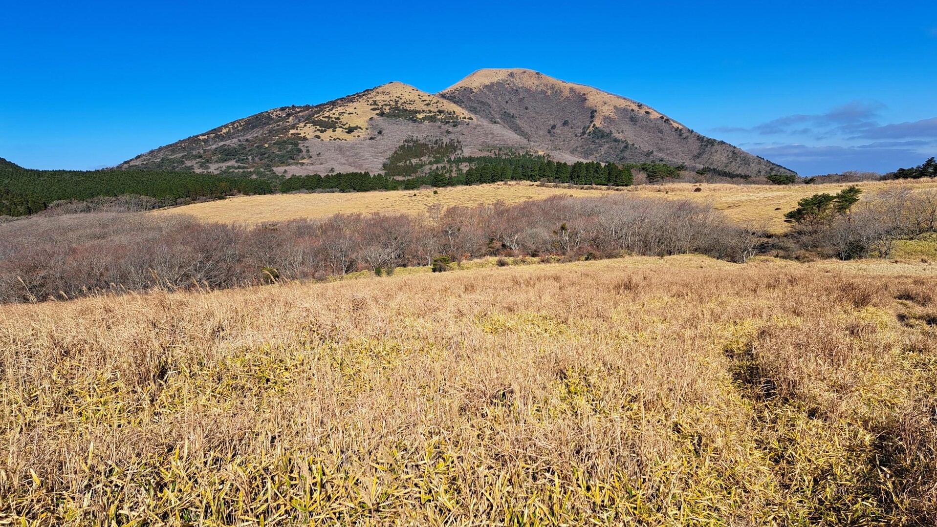 日本三百名山 涌蓋山 / katu3さんの涌蓋山・猟師山の活動データ | YAMAP / ヤマップ