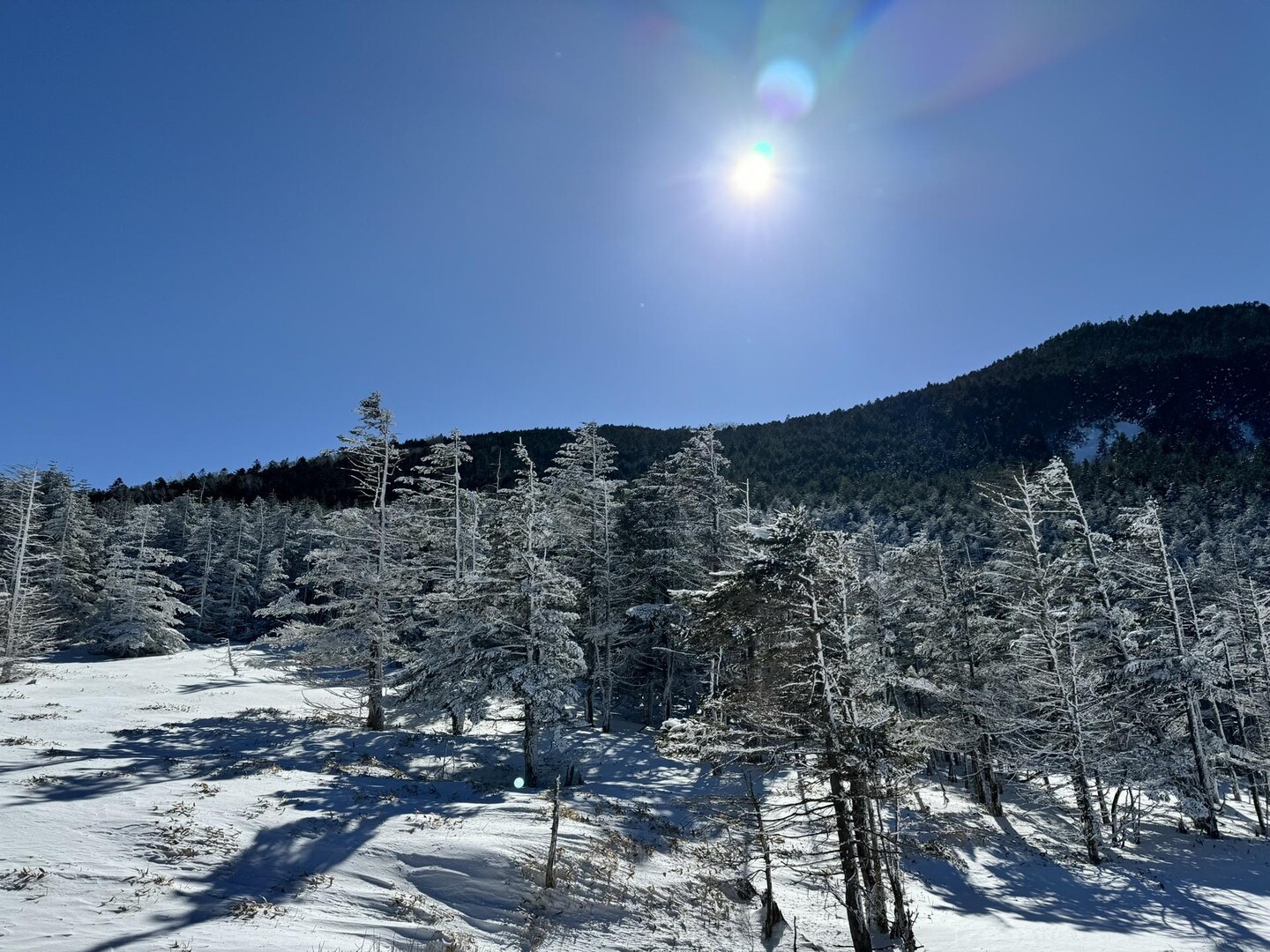 蓼科山・横岳・縞枯山-2024-01-14 / EKさんの蓼科山・横岳・縞枯山の活動データ | YAMAP / ヤマップ