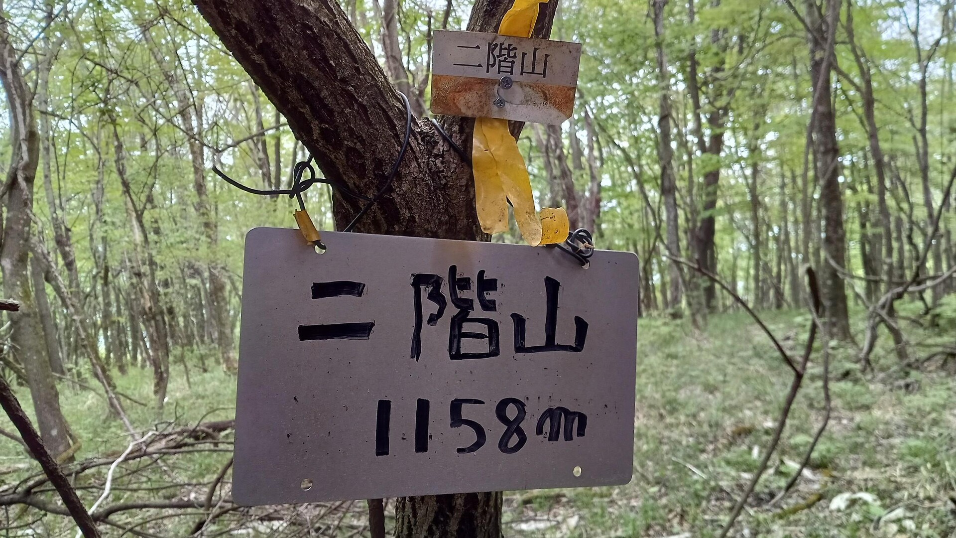 高山村の破風山〜二階山 / kumaさんの破風山の活動データ | YAMAP / ヤマップ