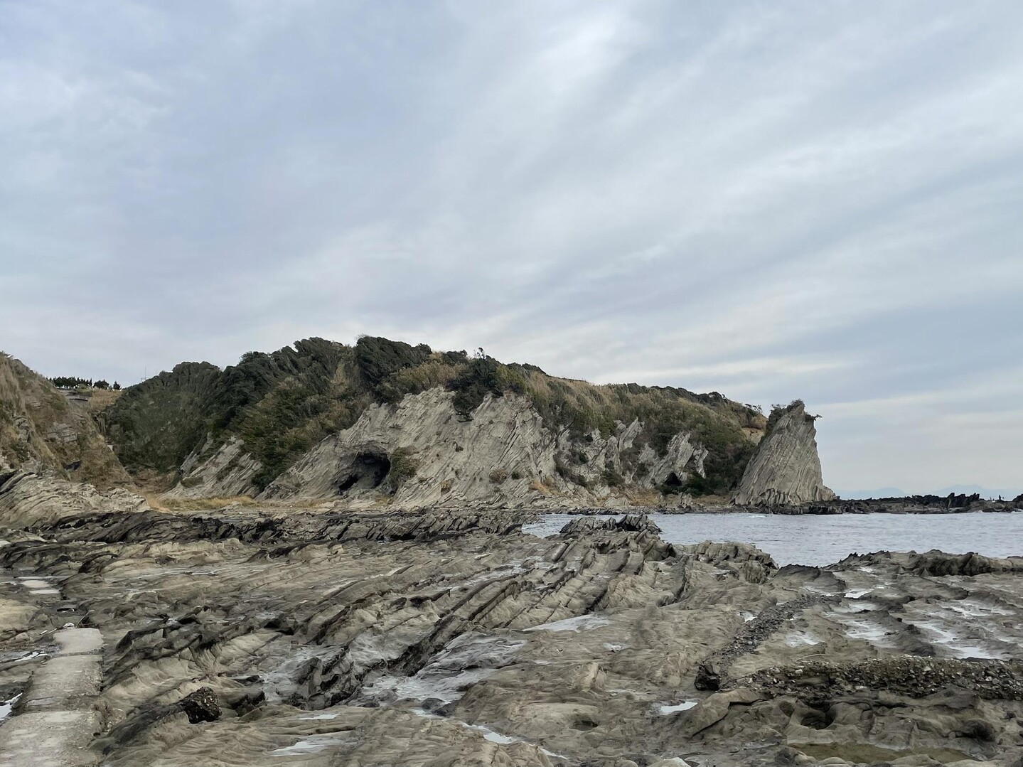 三崎口〜YRP野比、グレーピークハント / あんさんの三浦市・関東ふれあいの道（三浦・岩礁のみち, 油壺・入江のみち, 荒崎・潮騒のみち, 小網代の森）の活動データ | YAMAP / ヤマップ