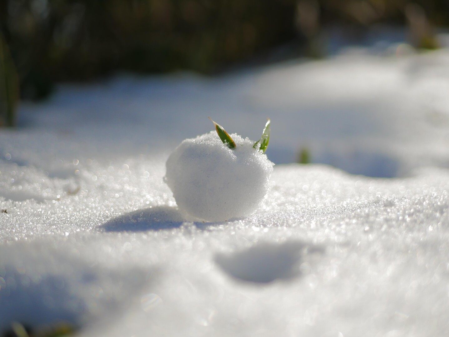 林道凍結 ️笠置山🏔️青空に誘われ歩いてみる / estudioさんの笠置山の活動データ | YAMAP / ヤマップ
