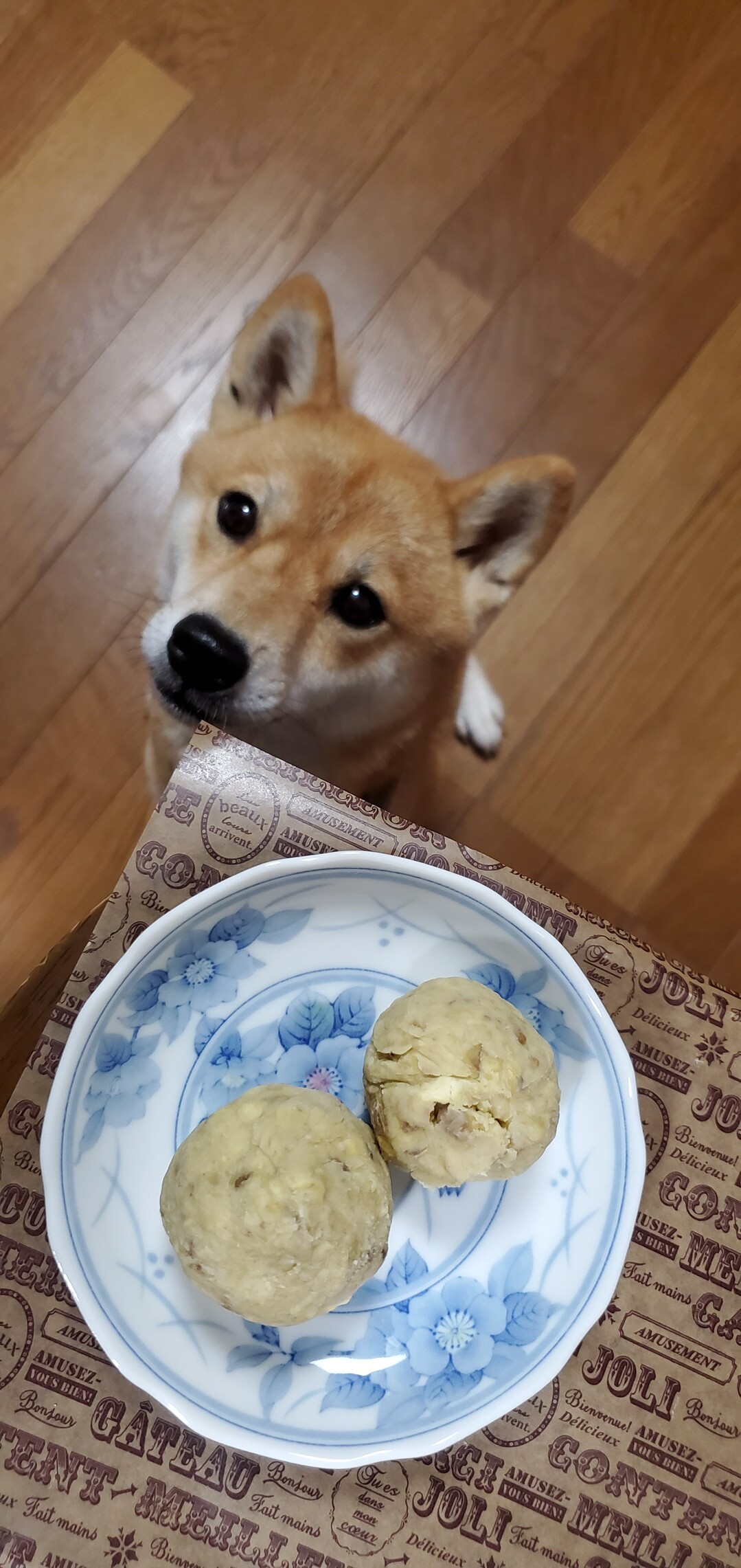 天気不良、良くても休日で混んでるかなぁと... / damens さんのモーメント | YAMAP / ヤマップ