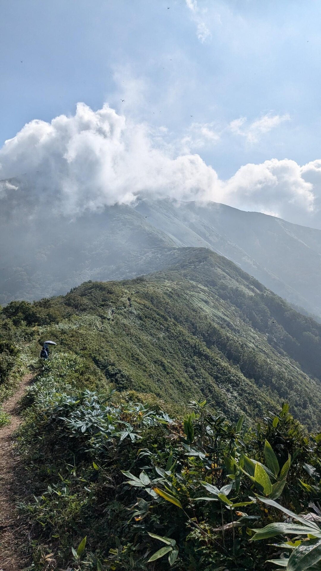 平標山 / HRDさんの仙ノ倉山・平標山・大源太山の活動データ | YAMAP / ヤマップ