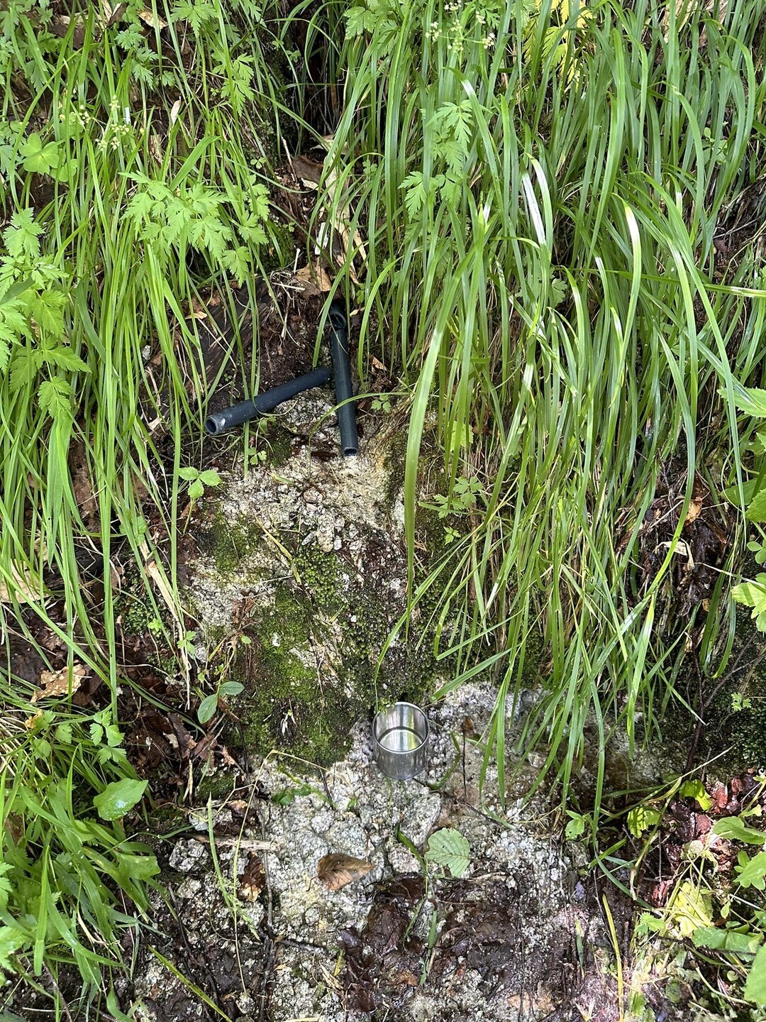 MASATOさんの投稿したフィールドメモ | YAMAP / ヤマップ