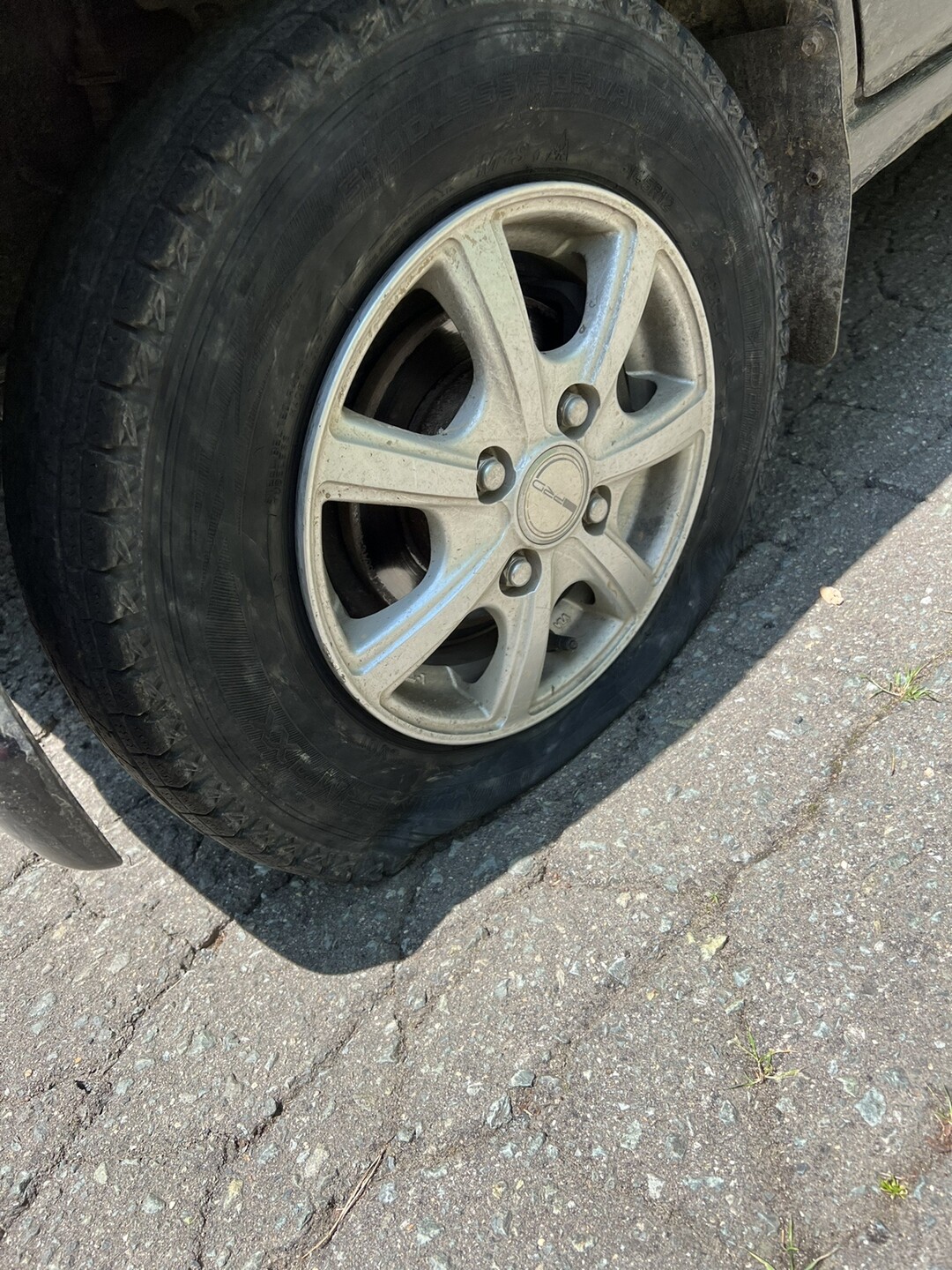 高森山 / MAKOTOOOO!!!!さんの高洞山の活動データ | YAMAP / ヤマップ