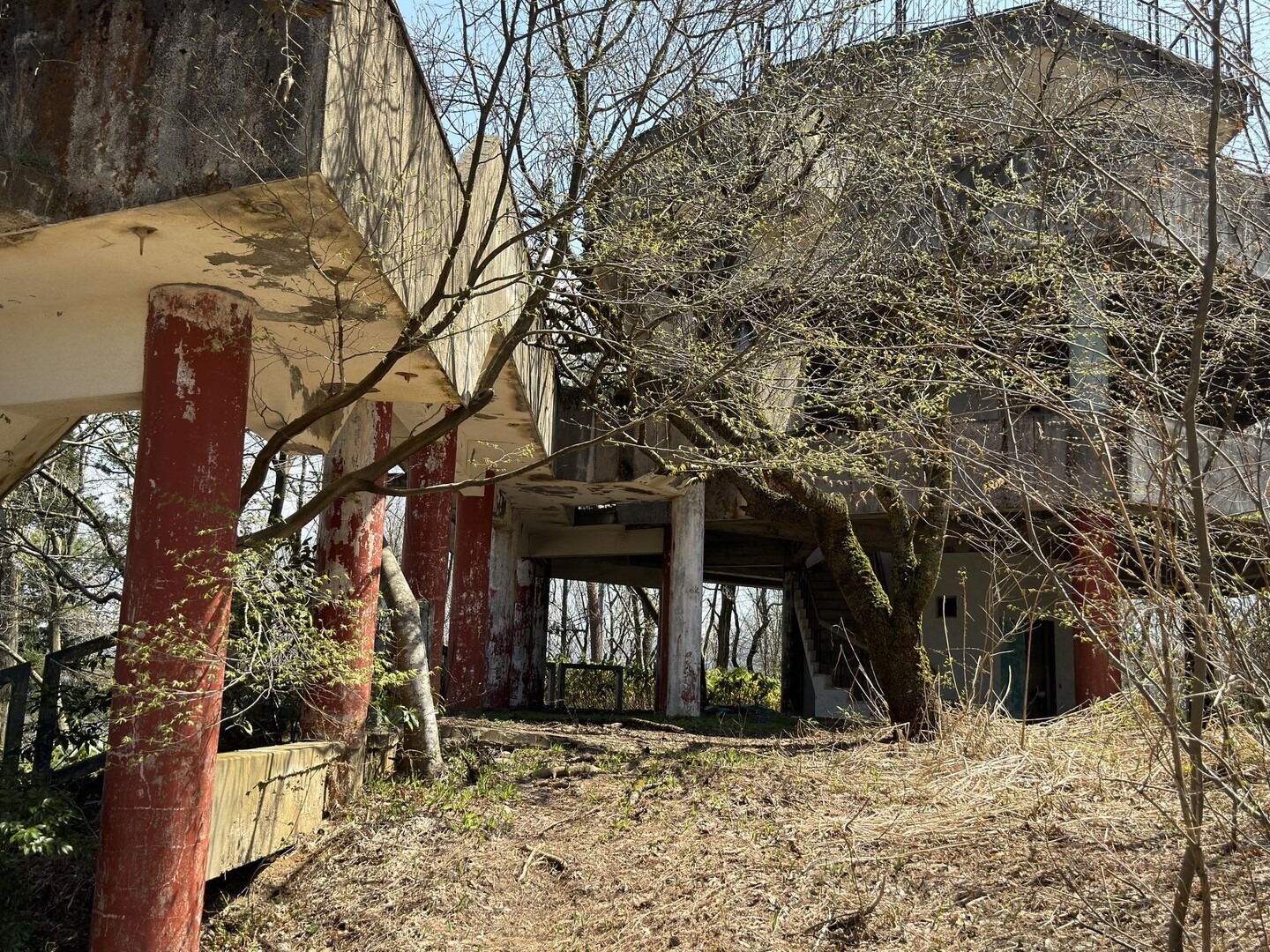 水無山・源氏山 2024-4-7 ソロ登山 / jt0450さんの水無山の活動データ | YAMAP / ヤマップ