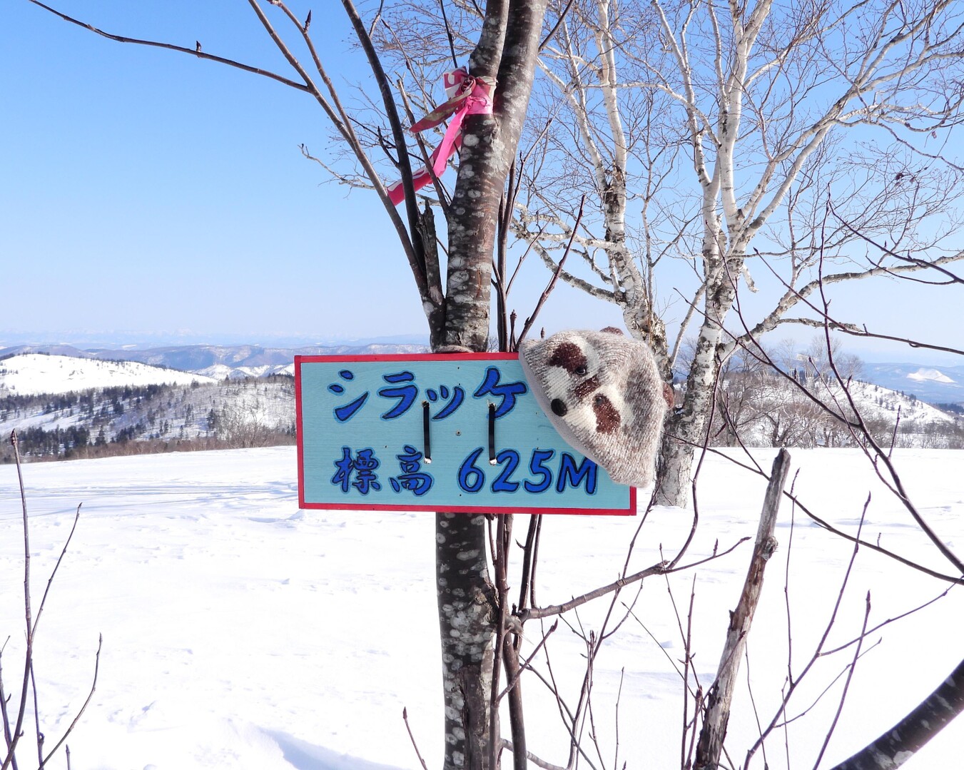 シラッケ山でソリビュン♪(長い話シリーズ⑩) / pon(夫) ＆ 連れ(妻)さんの丸山・三面山・シラッケ山の活動日記 | YAMAP / ヤマップ