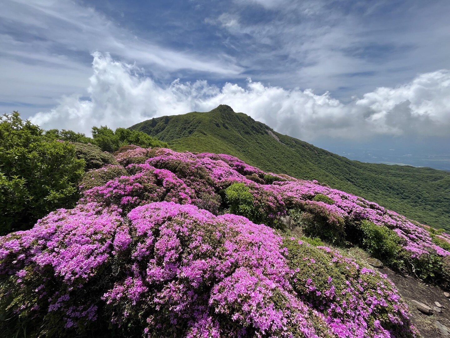 大船山・北大船山・平治岳 / suzurecoさんの九重山（久住山）・大船山・星生山の活動データ | YAMAP / ヤマップ