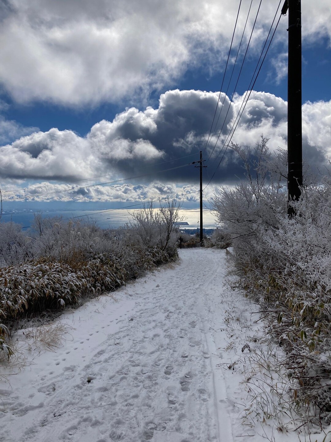 六甲山頂雪遊び ️宝塚〜宝塚 / Sab Zeroさんの六甲山・長峰山・摩耶山の活動データ | YAMAP / ヤマップ