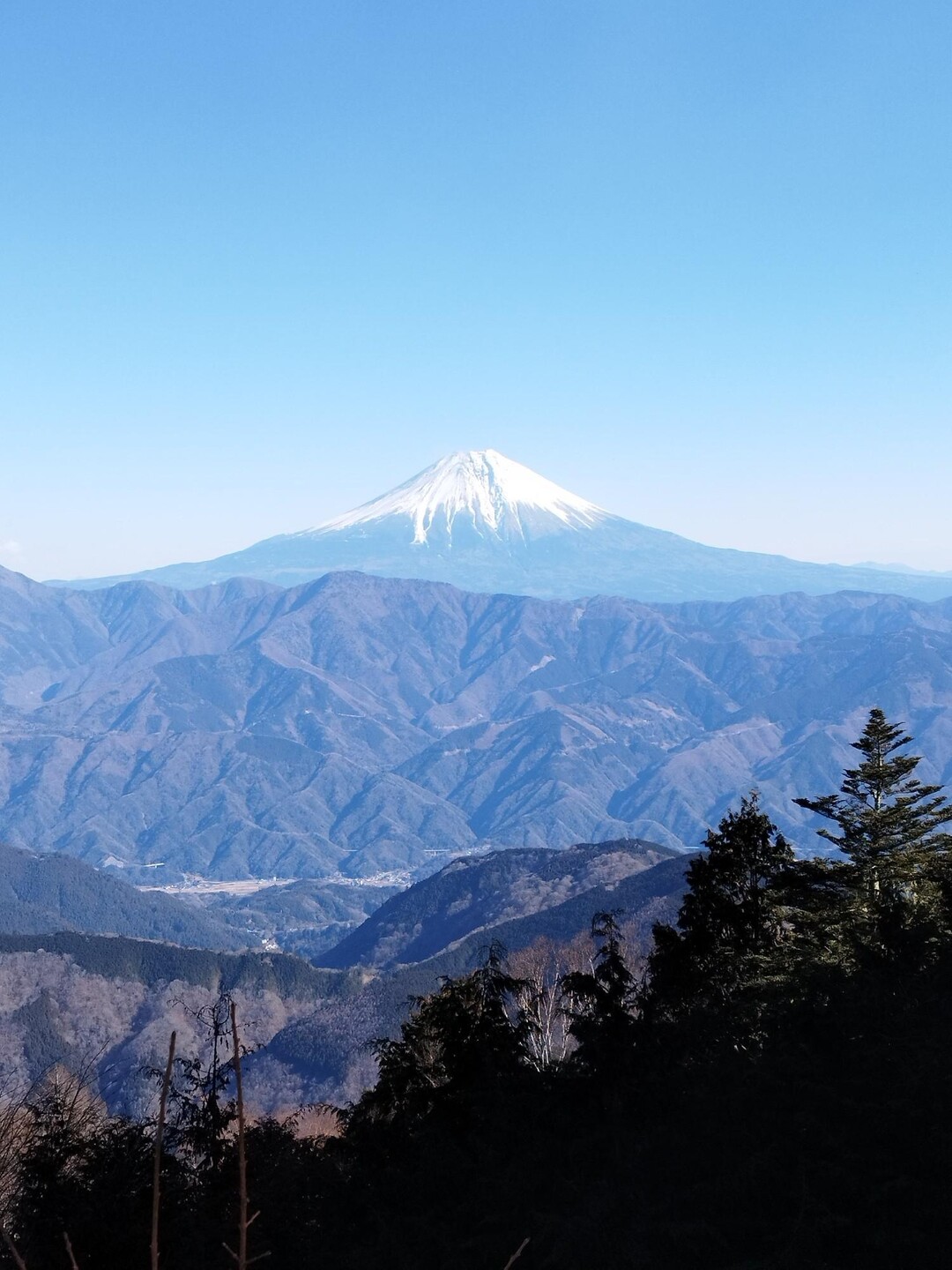 七面山・希望峰 / horitakaさんの七面山・身延山の活動データ | YAMAP / ヤマップ