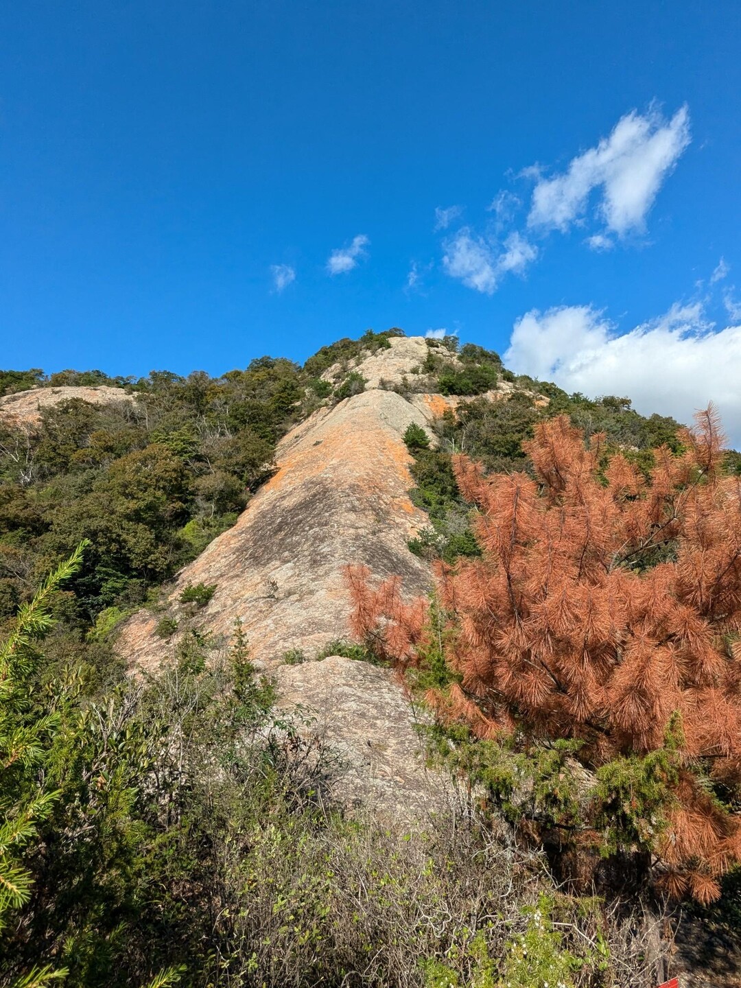 小野アルプス / Shuさんの小野アルプス（紅山・惣山）の活動データ | YAMAP / ヤマップ