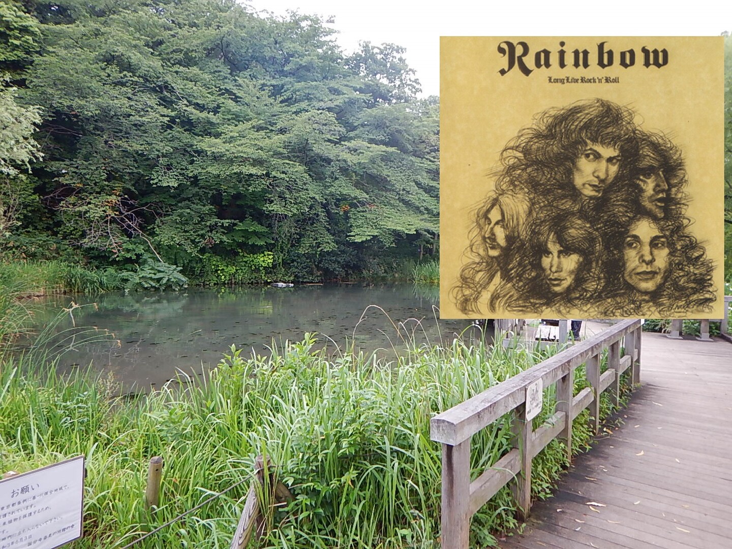 野川源流と武蔵野コース with Long Live Rock 'n' Roll／Rainbow / masa.aさんの国分寺市の活動データ | YAMAP / ヤマップ