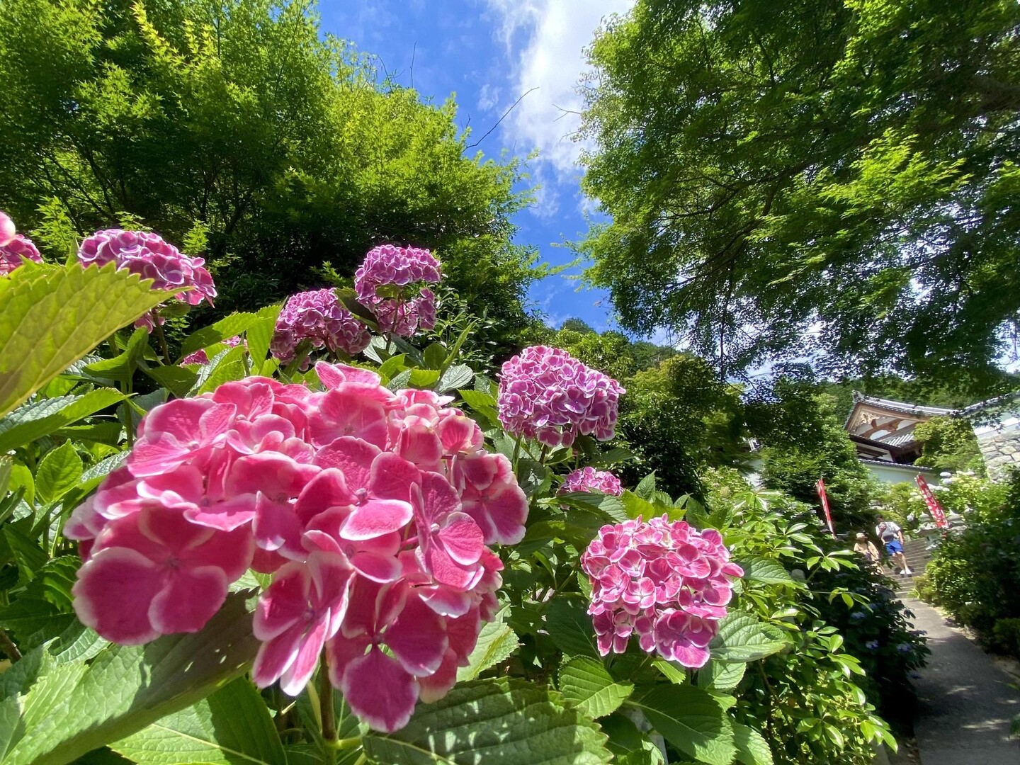 撃沈😵‍💫熊山トレ -2024-06-15 / tmgさんの熊山・高津山・尺八山の活動データ | YAMAP / ヤマップ