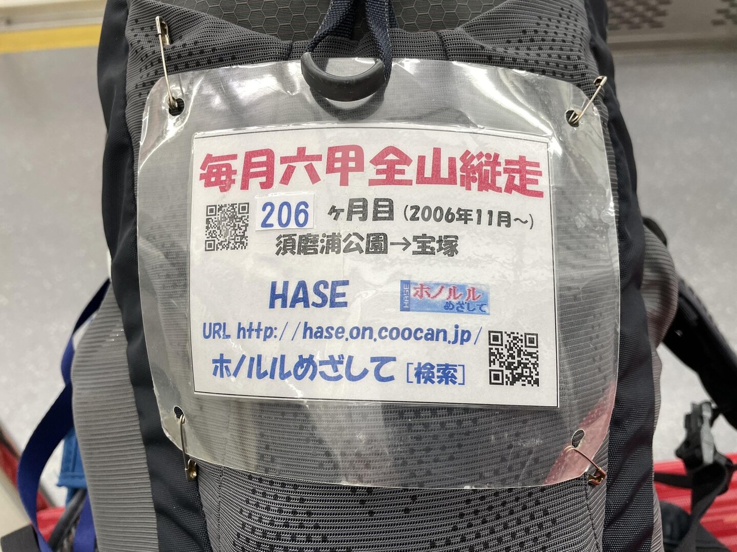 毎月六甲全山縦走206ヶ月目 / HASEさんの六甲山・長峰山・摩耶山の活動データ | YAMAP / ヤマップ