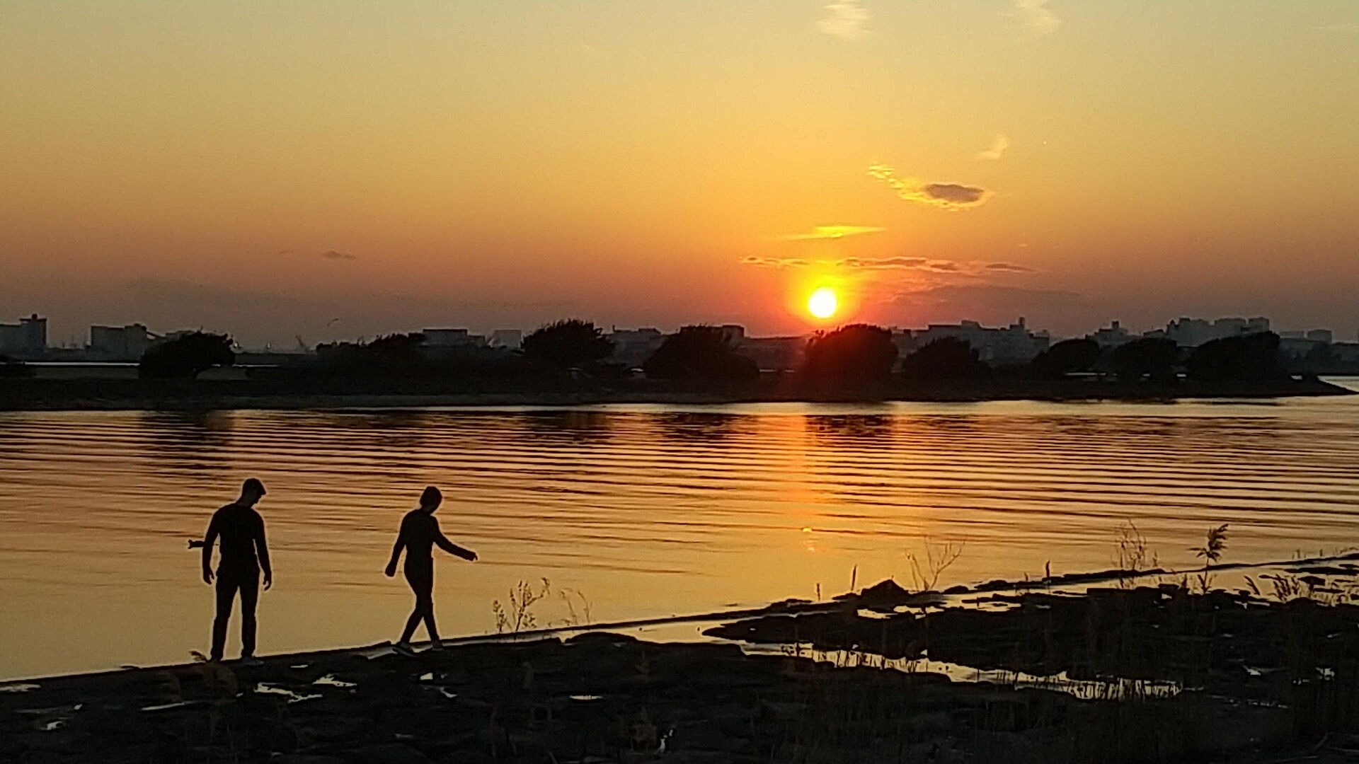 今日は久しぶりすぎるラン 3.5キロをゆ... / mtkumiさんのモーメント | YAMAP / ヤマップ