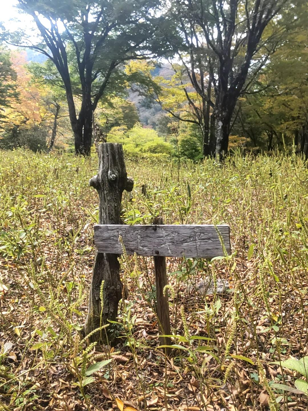 BOSCOから蓬平・三ノ塔 / yuさんの塔ノ岳・丹沢山・蛭ヶ岳の活動データ | YAMAP / ヤマップ