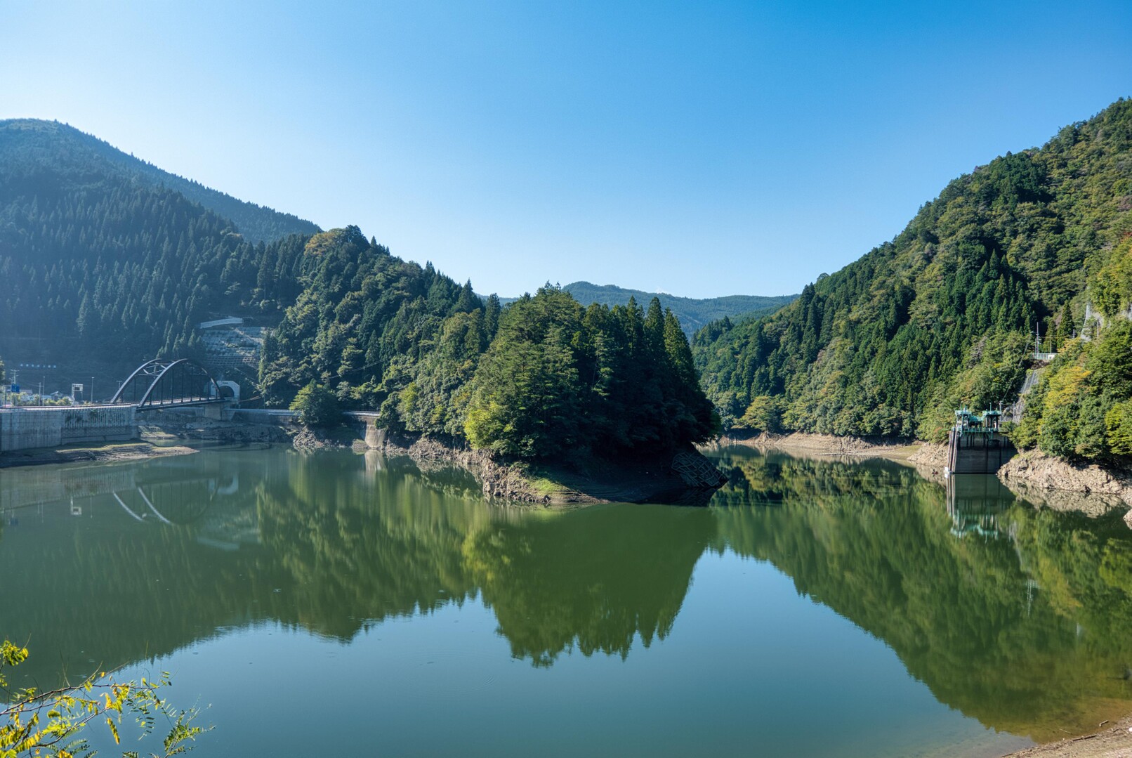 予想外にキュート（陣ヶ峰；天狗木峠からピストン） / persさんの高野参詣道（高野山・楊柳山・雨引山）の活動データ | YAMAP / ヤマップ