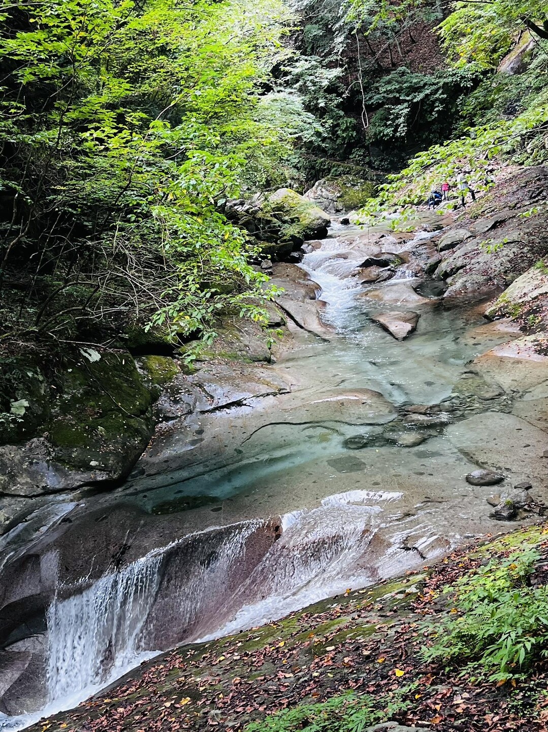 西沢渓谷-2023-09-17 / Mijyaさんの乾徳山・黒金山の活動データ | YAMAP / ヤマップ