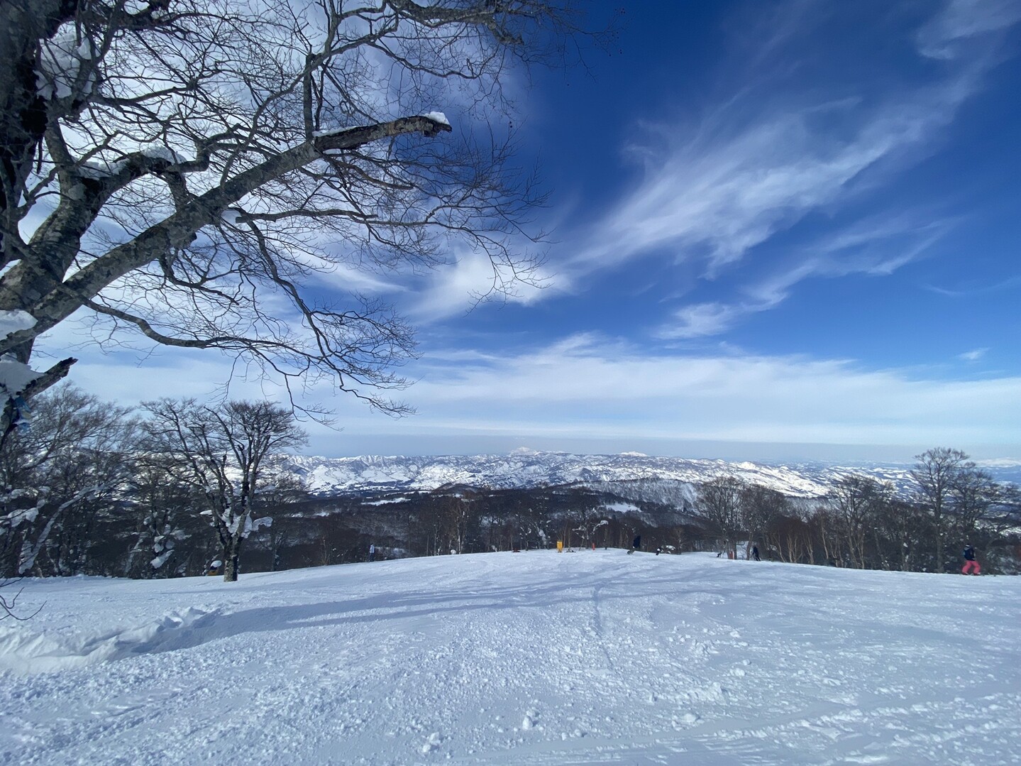 野沢温泉スキー場 毛無山 / チャコさんの野沢温泉スキー場の活動データ | YAMAP / ヤマップ