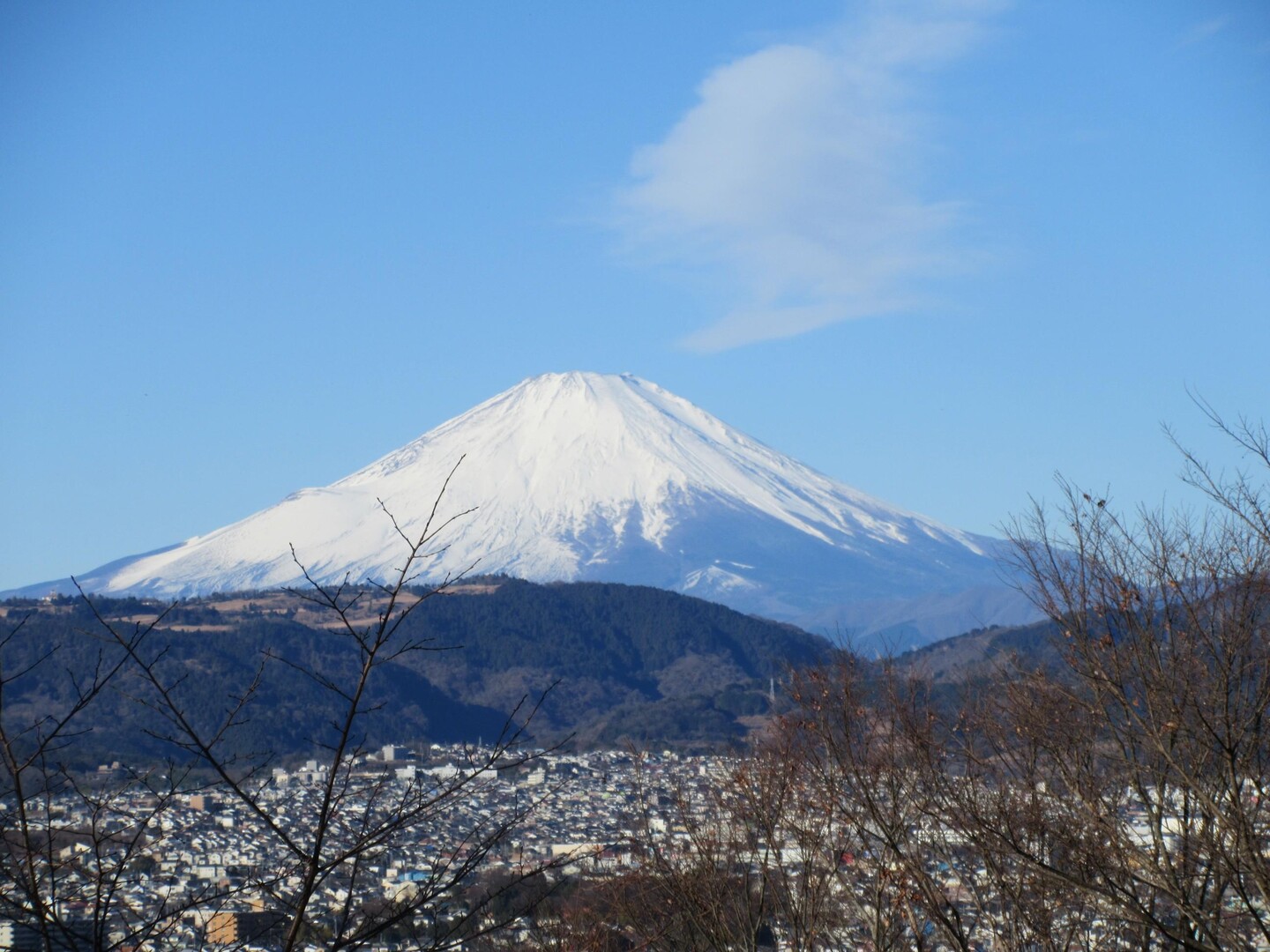 登り始め･リハビリ山行(吾妻山・弘法山・権現山・浅間山 縦走) / kuma3016さんの弘法山の活動データ | YAMAP / ヤマップ