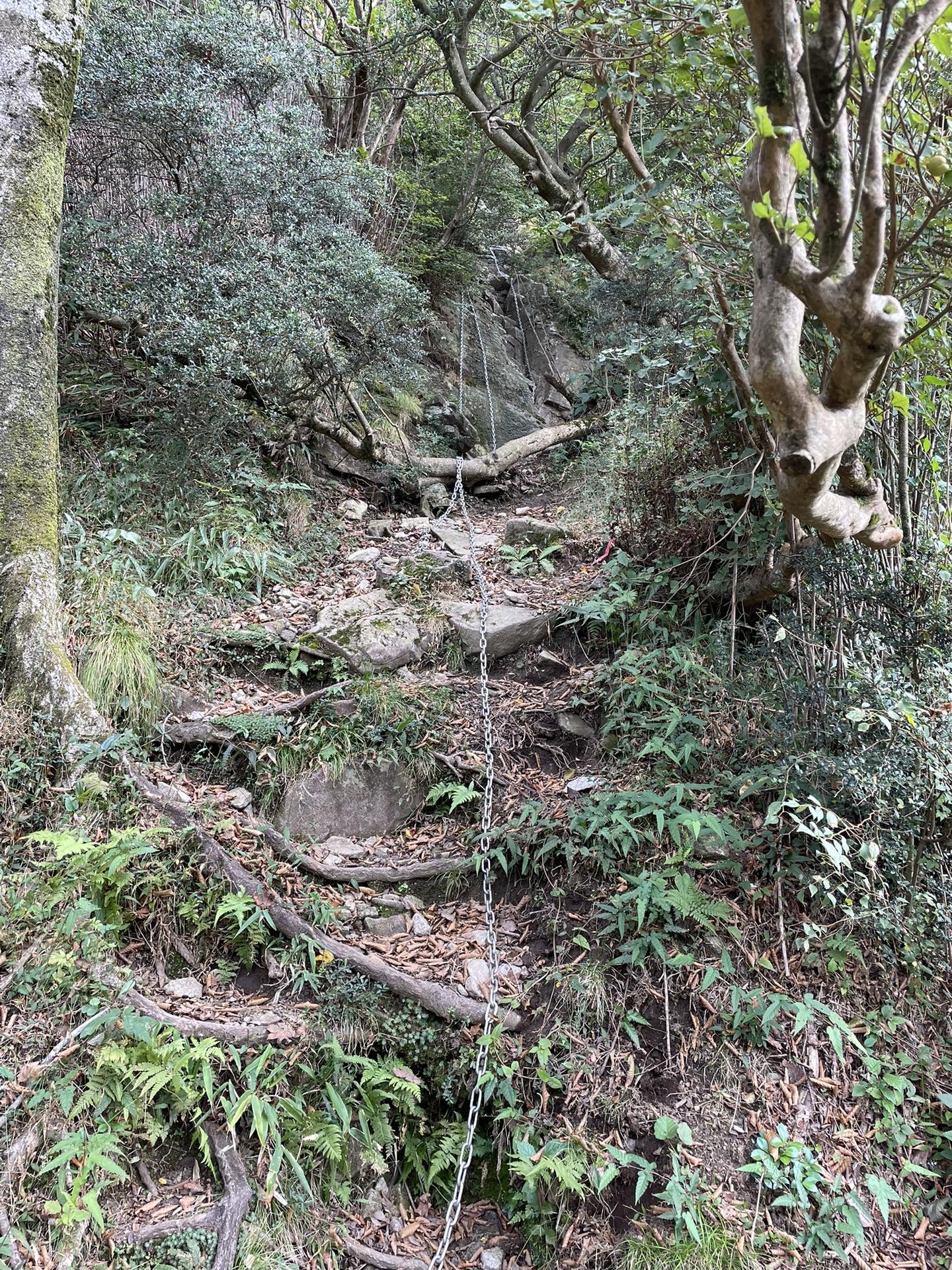 ハナグロ山・笹野山・都留山・酒呑童子山・小鈴山 / kinjunさんの酒呑童子山・小鈴山・ハナグロ山の活動日記 | YAMAP / ヤマップ