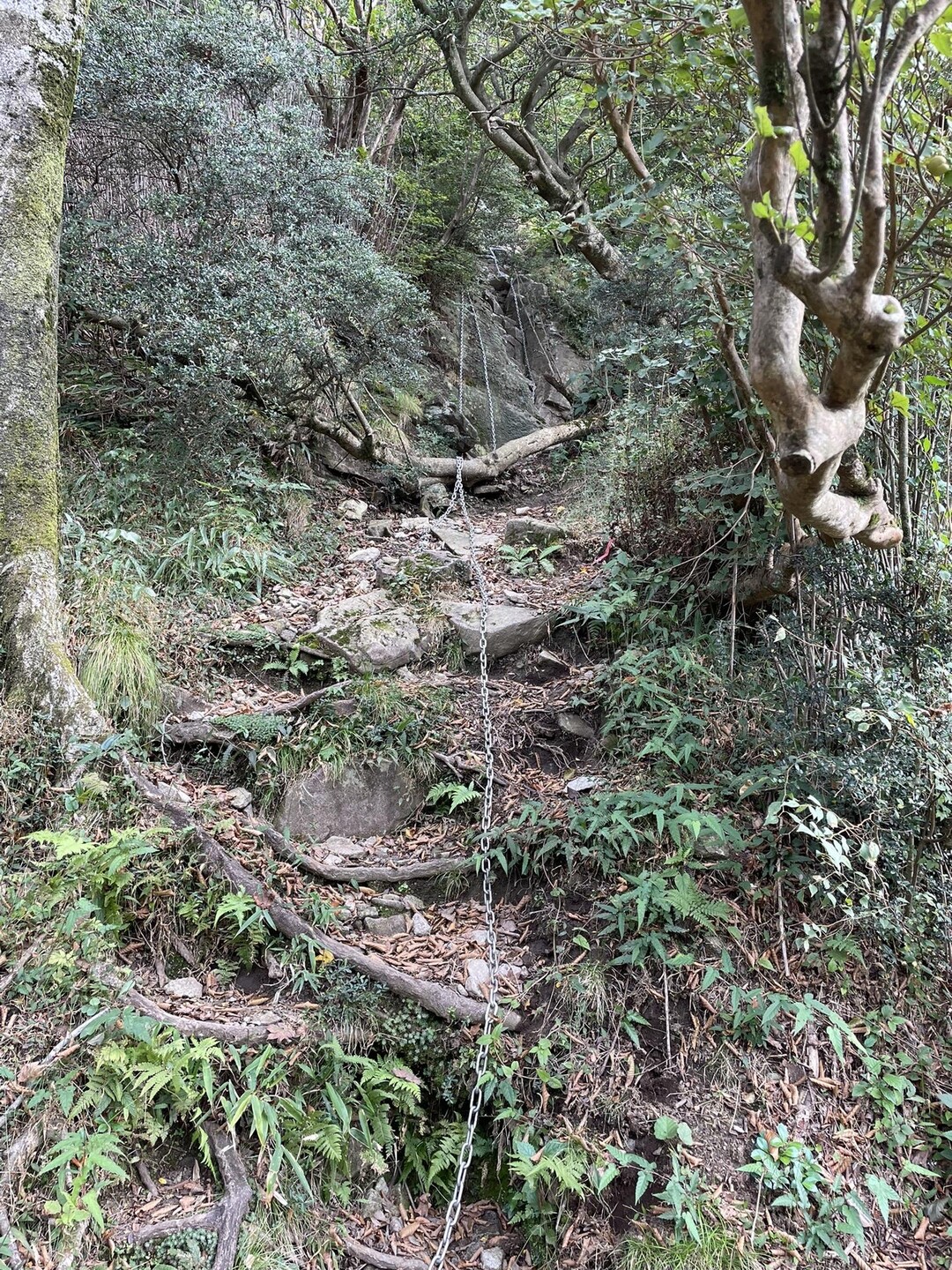 ハナグロ山・笹野山・都留山・酒呑童子山・小鈴山 / kinjunさんの酒呑童子山・小鈴山・ハナグロ山の活動データ | YAMAP / ヤマップ
