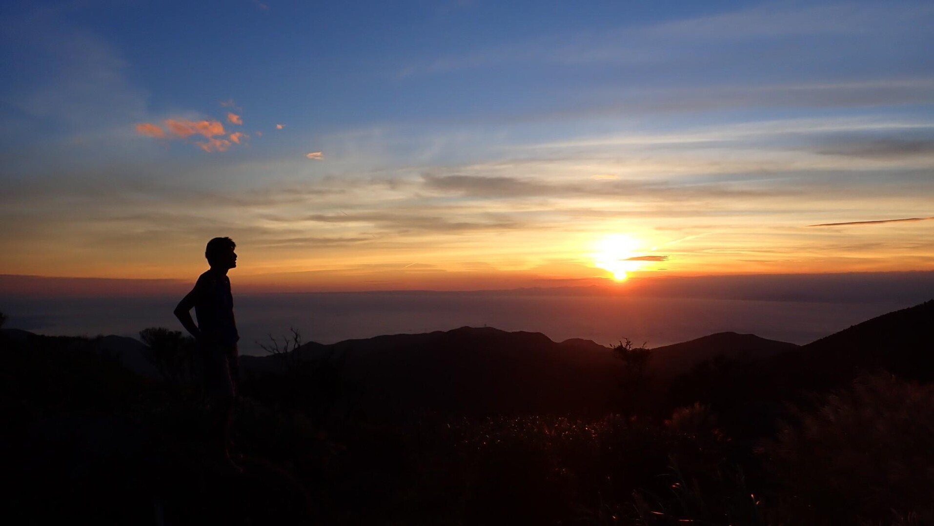 伊豆山陵線歩道👣前半 Day58 / さどっきーさんの金冠山・達磨山・葛城山の活動日記 | YAMAP / ヤマップ