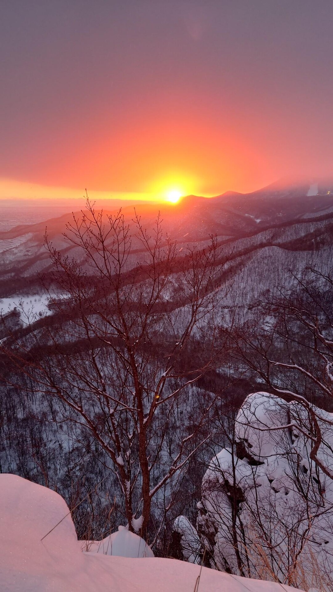 銭函天狗山～初日の出🌄 / makyさんの春香山・銭函峠・銭函天狗山の活動データ | YAMAP / ヤマップ