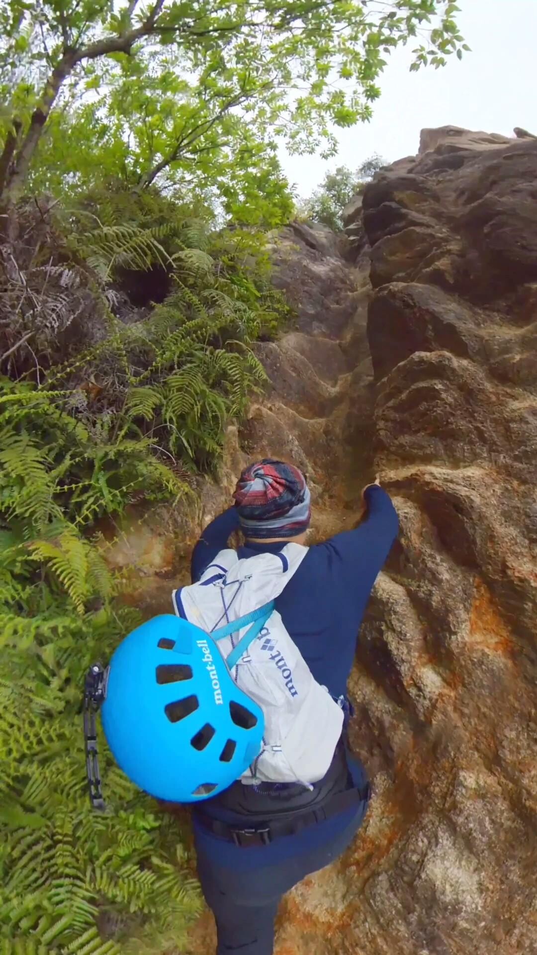 兵庫県芦屋市 荒地山キャッスルウォール ... / climbおっさんさんのモーメント | YAMAP / ヤマップ