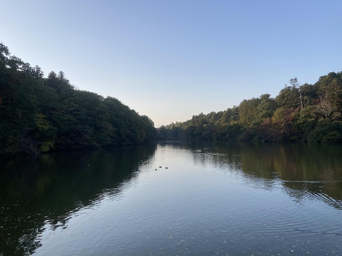 こんにちは^ ^ 今日はとても暖かな一... / OBsunさんのモーメント | YAMAP / ヤマップ