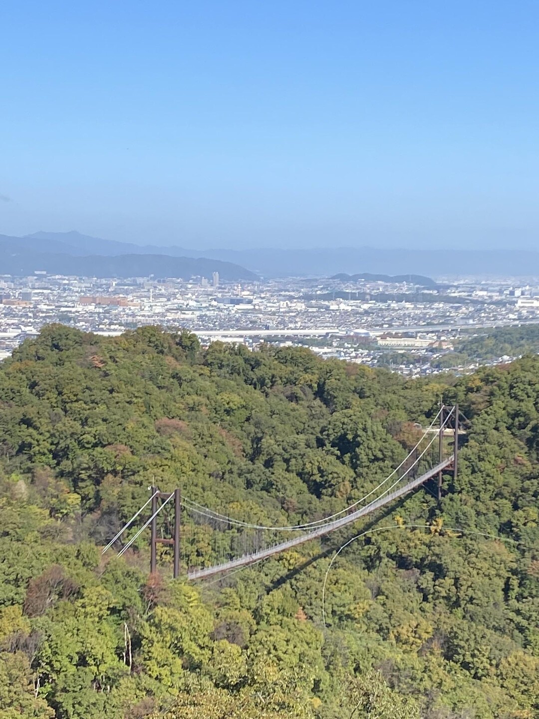 星のブランコへ 2023.11.8 / aya-ponponさんの交野山・国見山の活動データ | YAMAP / ヤマップ
