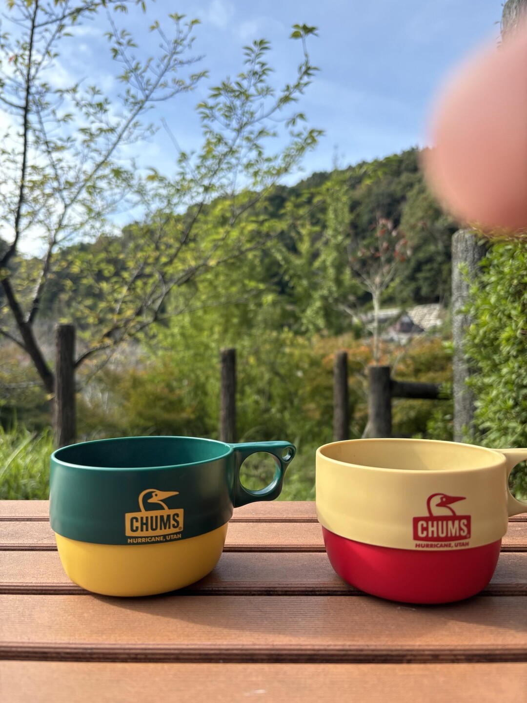 天下峯は⚠️大きな🐝🐝が😱😱 / Kingさんの六所山・炮烙山の活動データ | YAMAP / ヤマップ