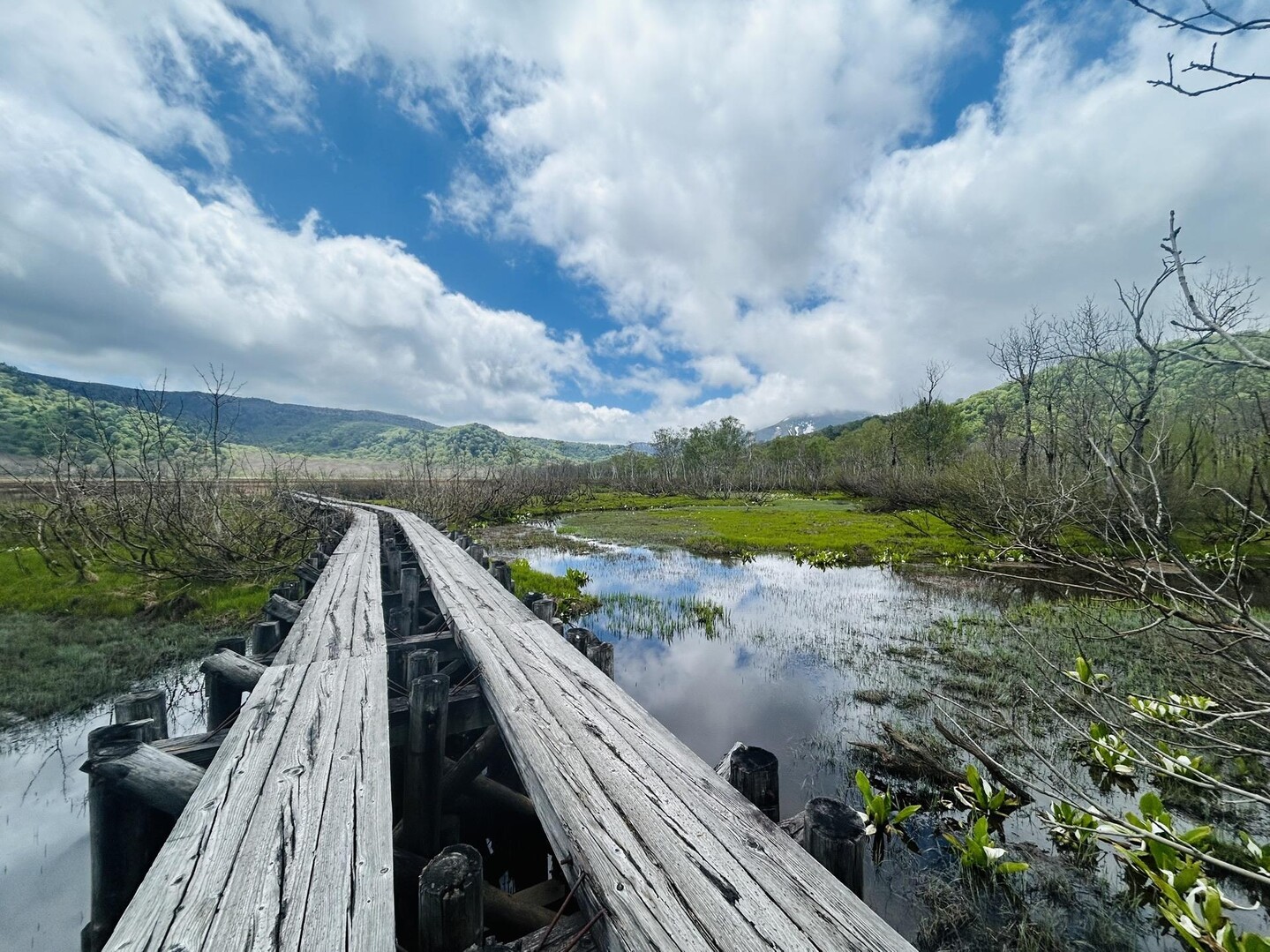 尾瀬・燧ヶ岳-2024-05-21 / m. hiroさんの尾瀬・燧ヶ岳の活動データ | YAMAP / ヤマップ