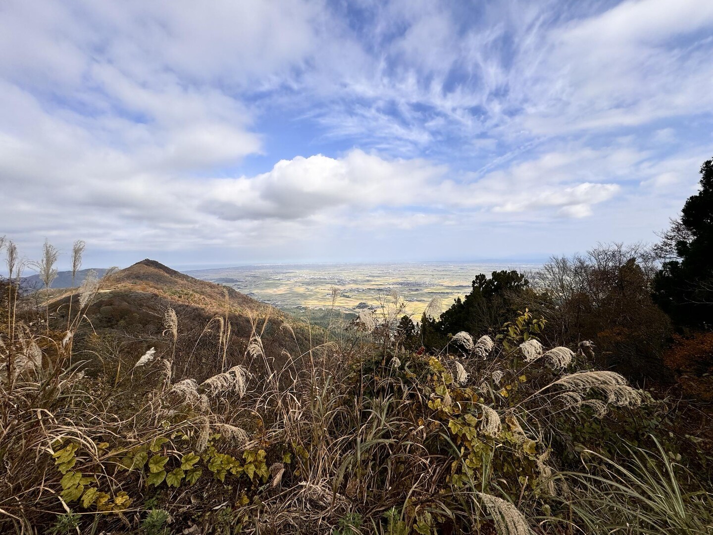 弥彦山 / Y-MANさんの弥彦山・多宝山・雨乞山の活動データ | YAMAP / ヤマップ