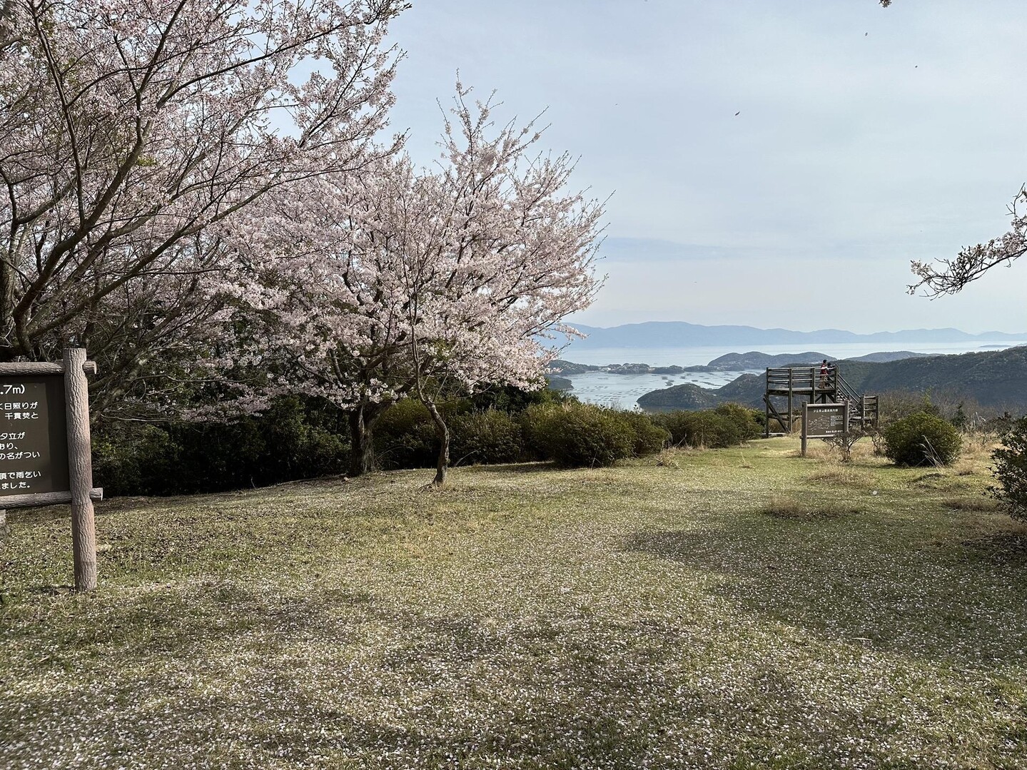 夕立受山〜ハイキング下見 / GOSAYさんの夕立受山の活動データ | YAMAP / ヤマップ
