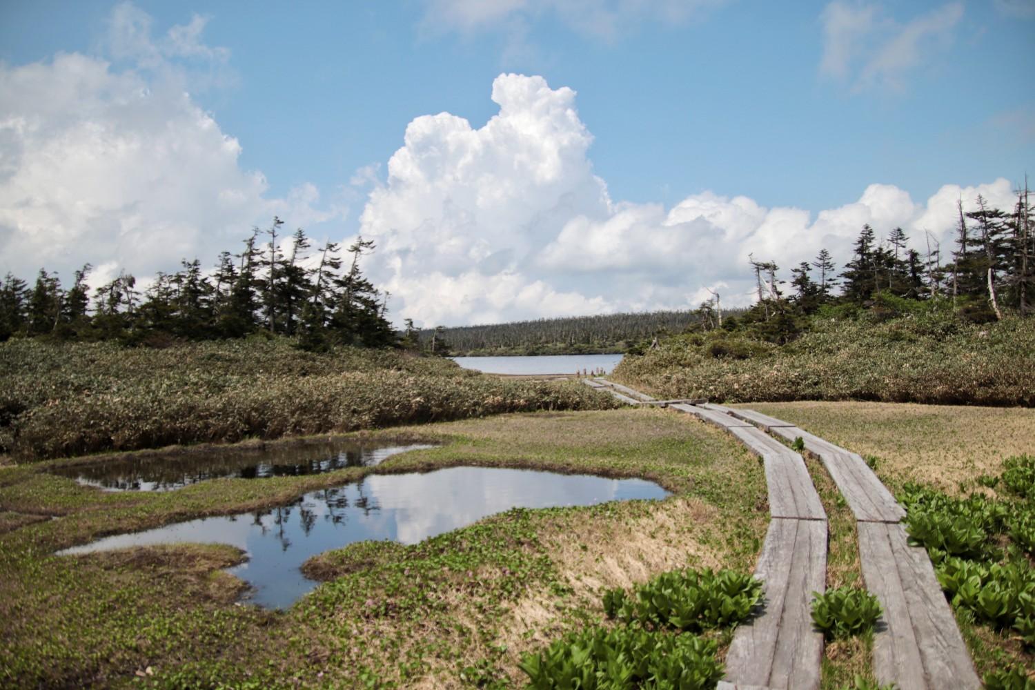 森吉山の次の日は八幡平に-2025-06-19 / G-Mikiさんの八幡平・源太森・安比岳の活動データ | YAMAP / ヤマップ