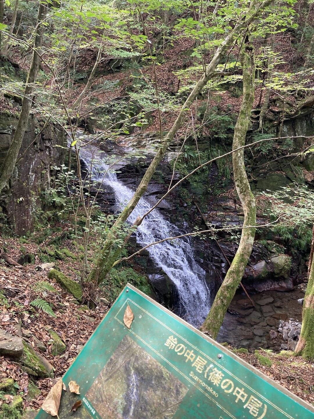 犬ヶ岳/福岡〜多数の滝で景観good / ヒラリンさんのウォーキングの活動日記 | YAMAP / ヤマップ