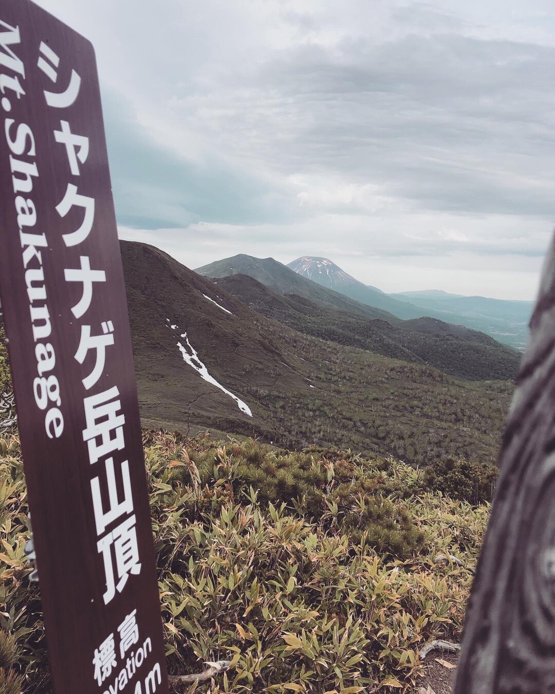 シャクナゲ岳 / yuzu_ricさんのニセコアンヌプリ・イワオヌプリ・チセヌプリの活動データ | YAMAP / ヤマップ