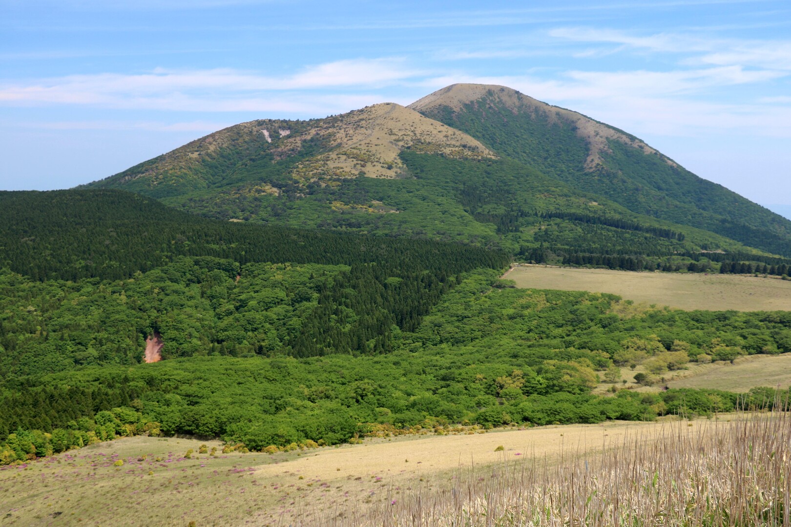 涌蓋山 / suejirouさんの涌蓋山・猟師山の活動データ | YAMAP / ヤマップ