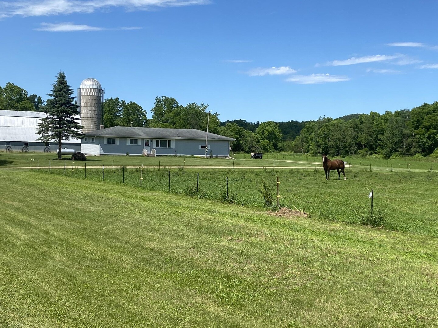 サイクリング（MN）-2024-06-14 / sanaviさんのサイクリングの活動データ | YAMAP / ヤマップ