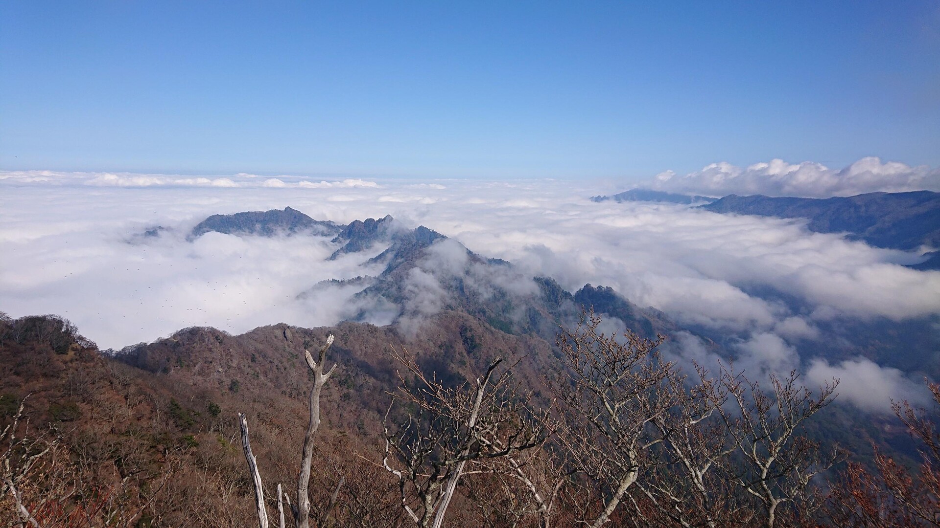 祖母山 / nappiさんの祖母山の活動データ | YAMAP / ヤマップ