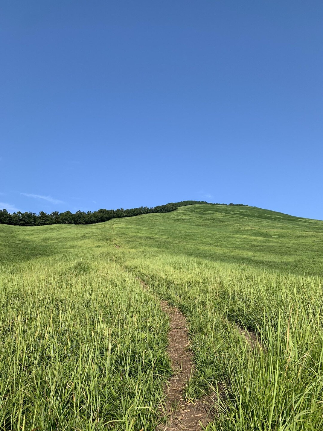 扇山（大平山） / ayumiさんの由布岳・鶴見岳の活動データ | YAMAP / ヤマップ